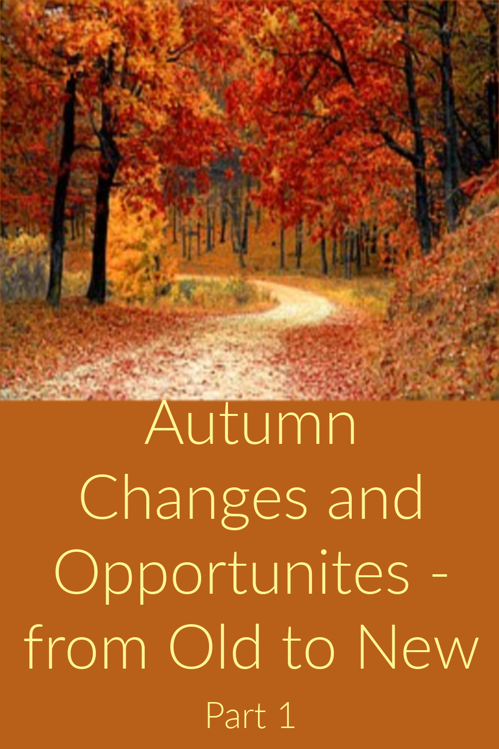 Autumn Changes and Opportunities- From Old to New. Part 1 - My Windowsill