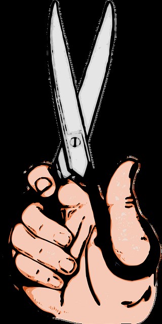 How to Hold a Scissors and Other Life Lessons - My Windowsill