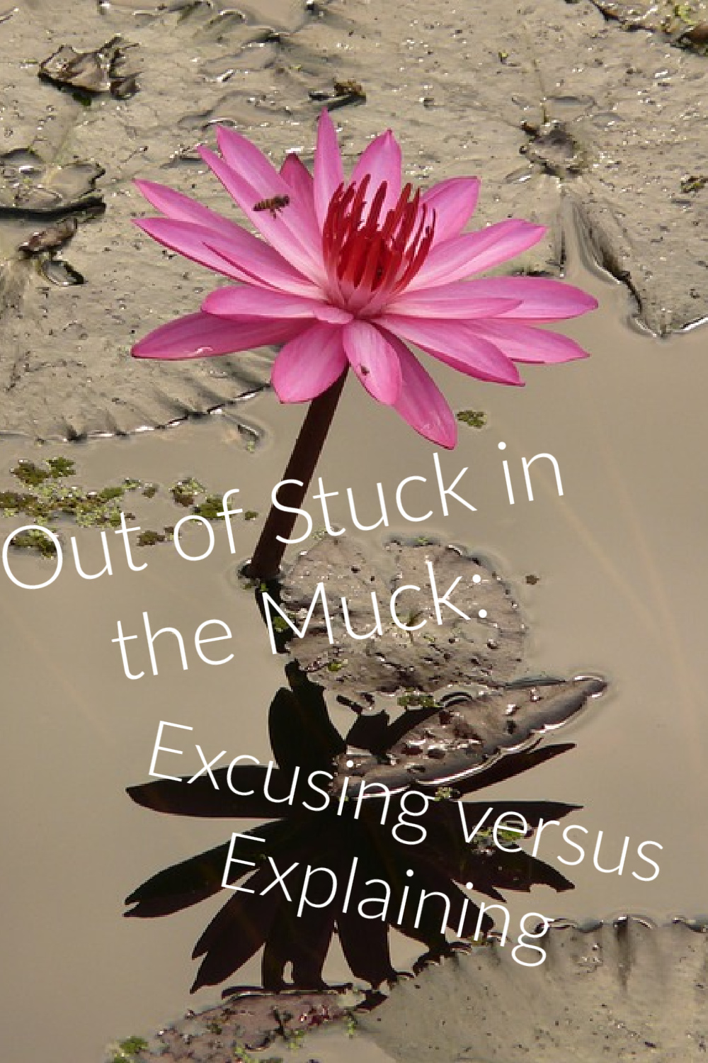 Out of Stuck in the Muck: Excusing versus Explaining - My Windowsill